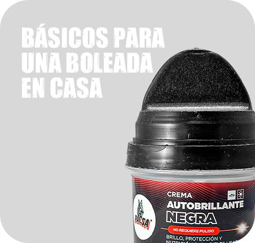Básicos para una Boleada en Casa - Productos PACSA